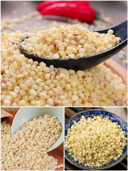 高粱米怎么做好吃_高粱米的家常做法大全-第1张图片-山城妙识