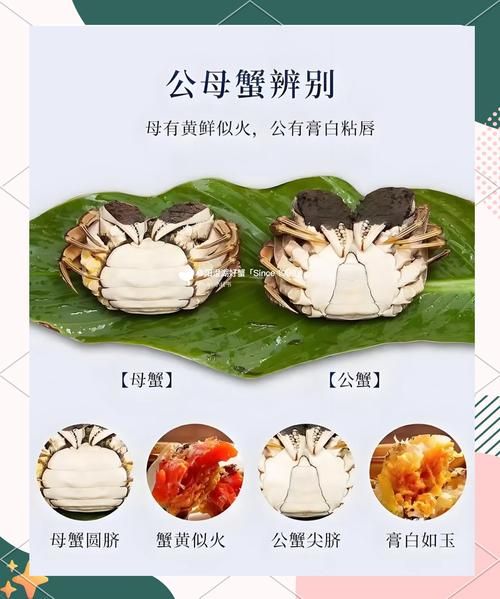 阳澄湖大闸蟹官网_如何辨别正宗-第2张图片-山城妙识 阳澄湖大闸蟹官网_如何辨别正宗-第2张图片-山城妙识