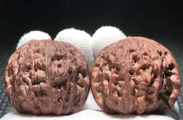 闷尖狮子头多少钱一对_闷尖狮子头为什么贵-第2张图片-山城妙识 闷尖狮子头多少钱一对_闷尖狮子头为什么贵-第2张图片-山城妙识