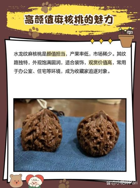 麻核桃品种有哪些_麻核桃品种怎么区分-第2张图片-山城妙识 麻核桃品种有哪些_麻核桃品种怎么区分-第2张图片-山城妙识