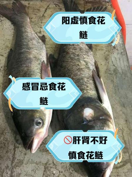 鲢鱼为什么没人吃_鲢鱼口感差的原因-第3张图片-山城妙识 鲢鱼为什么没人吃_鲢鱼口感差的原因-第3张图片-山城妙识