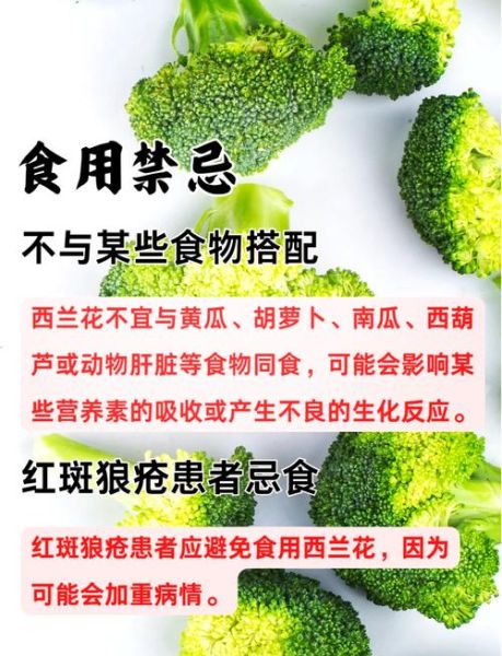长期吃西兰花有什么好处_长期吃西兰花会伤胃吗-第1张图片-山城妙识 长期吃西兰花有什么好处_长期吃西兰花会伤胃吗-第1张图片-山城妙识