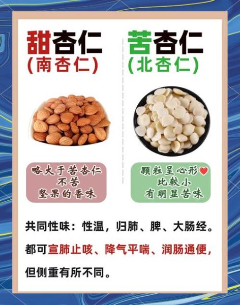 苦杏仁怎么吃_苦杏仁一天吃多少粒-第3张图片-山城妙识 苦杏仁怎么吃_苦杏仁一天吃多少粒-第3张图片-山城妙识