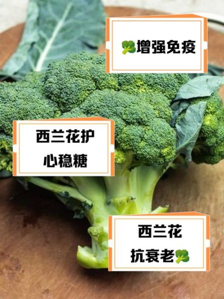 长期吃西兰花有什么好处_长期吃西兰花会伤胃吗-第2张图片-山城妙识 长期吃西兰花有什么好处_长期吃西兰花会伤胃吗-第2张图片-山城妙识