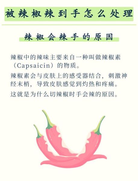 辣椒辣到手了最快消除_辣椒辣到手怎么办-第2张图片-山城妙识 辣椒辣到手了最快消除_辣椒辣到手怎么办-第2张图片-山城妙识