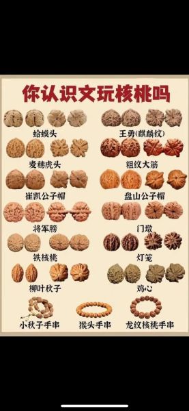 中国核桃哪个品种最好吃_四大名核口感排名-第3张图片-山城妙识 中国核桃哪个品种最好吃_四大名核口感排名-第3张图片-山城妙识