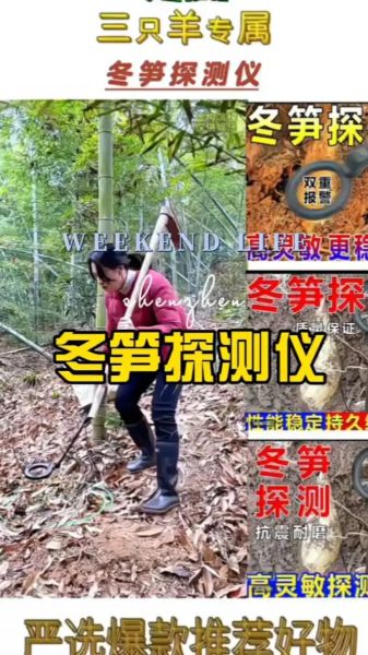 冬笋探测器多少钱一台_冬笋探测器价格表-第1张图片-山城妙识 冬笋探测器多少钱一台_冬笋探测器价格表-第1张图片-山城妙识