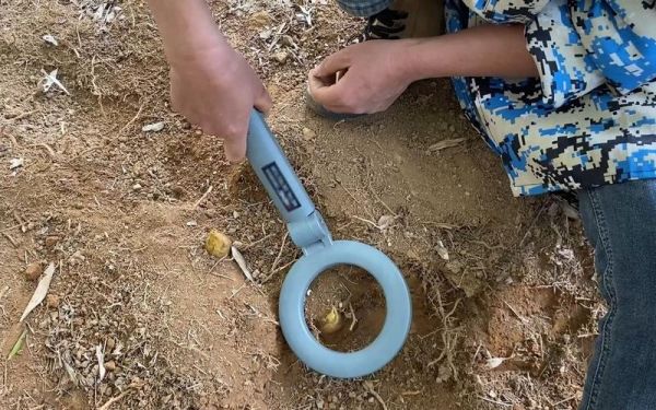 冬笋探测器多少钱一台_冬笋探测器价格表-第2张图片-山城妙识 冬笋探测器多少钱一台_冬笋探测器价格表-第2张图片-山城妙识