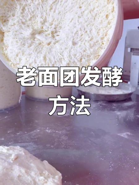 老面怎么发面_老面发面需要多久-第1张图片-山城妙识 老面怎么发面_老面发面需要多久-第1张图片-山城妙识