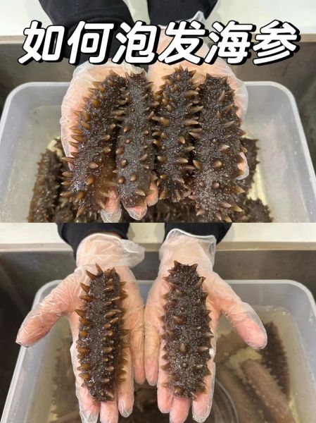 野生海参怎么吃最好_野生海参怎么泡发最软-第1张图片-山城妙识 野生海参怎么吃最好_野生海参怎么泡发最软-第1张图片-山城妙识