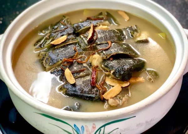 甲鱼炖鸡的做法大全_甲鱼炖鸡怎么做好吃-第3张图片-山城妙识 甲鱼炖鸡的做法大全_甲鱼炖鸡怎么做好吃-第3张图片-山城妙识