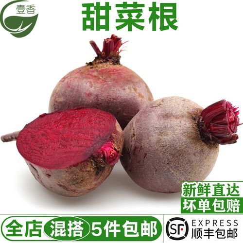 甜菜的别名是什么_甜菜根和糖萝卜的区别-第3张图片-山城妙识 甜菜的别名是什么_甜菜根和糖萝卜的区别-第3张图片-山城妙识