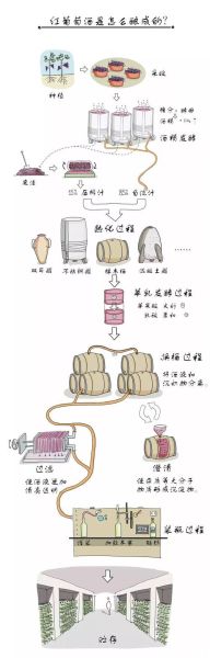 葡萄酒制作方法_怎么制做葡萄酒-第1张图片-山城妙识 葡萄酒制作方法_怎么制做葡萄酒-第1张图片-山城妙识