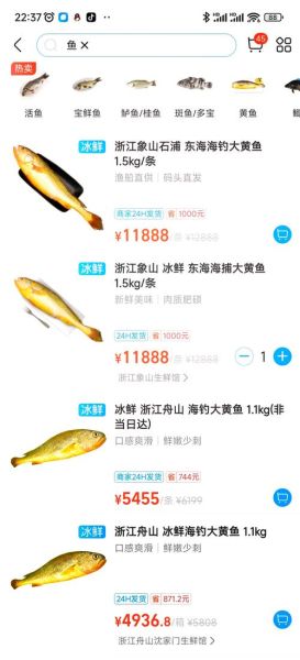 黄剑鱼价格多少钱一斤_黄剑鱼多少钱一斤2024-第3张图片-山城妙识 黄剑鱼价格多少钱一斤_黄剑鱼多少钱一斤2024-第3张图片-山城妙识