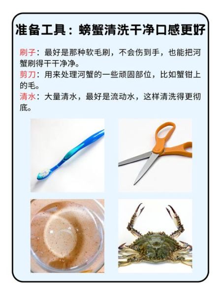 螃蟹怎么清洗_螃蟹清洗方法图解-第1张图片-山城妙识 螃蟹怎么清洗_螃蟹清洗方法图解-第1张图片-山城妙识