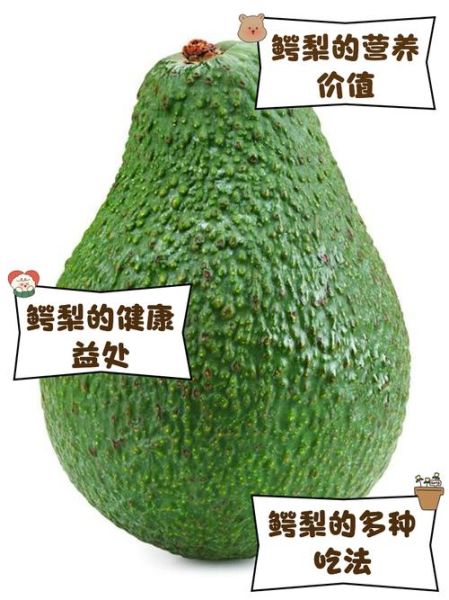 鳄梨是什么水果_鳄梨怎么吃最好-第1张图片-山城妙识 鳄梨是什么水果_鳄梨怎么吃最好-第1张图片-山城妙识