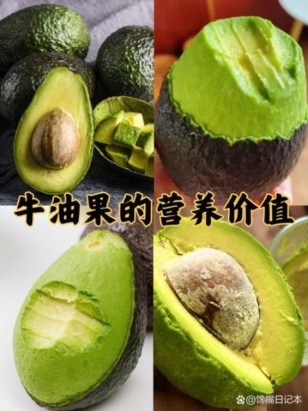 鳄梨是什么水果_鳄梨怎么吃最好-第3张图片-山城妙识 鳄梨是什么水果_鳄梨怎么吃最好-第3张图片-山城妙识