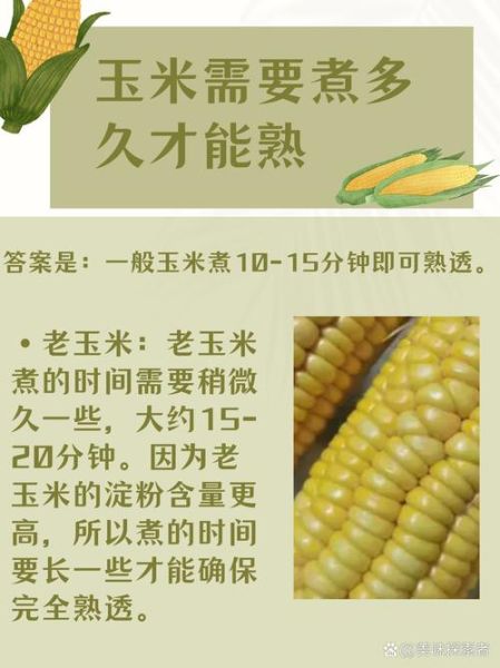 玉米熟没熟怎么看_玉米煮多久才熟-第1张图片-山城妙识 玉米熟没熟怎么看_玉米煮多久才熟-第1张图片-山城妙识