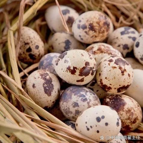 鹌鹑怎么读_鹌鹑的营养价值有哪些-第2张图片-山城妙识 鹌鹑怎么读_鹌鹑的营养价值有哪些-第2张图片-山城妙识