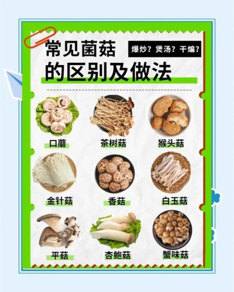 菌类有哪些营养价值_菌类怎么挑选和保存-第2张图片-山城妙识