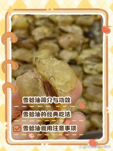 雪蛤的功效与作用_雪蛤多少钱一斤-第3张图片-山城妙识 雪蛤的功效与作用_雪蛤多少钱一斤-第3张图片-山城妙识
