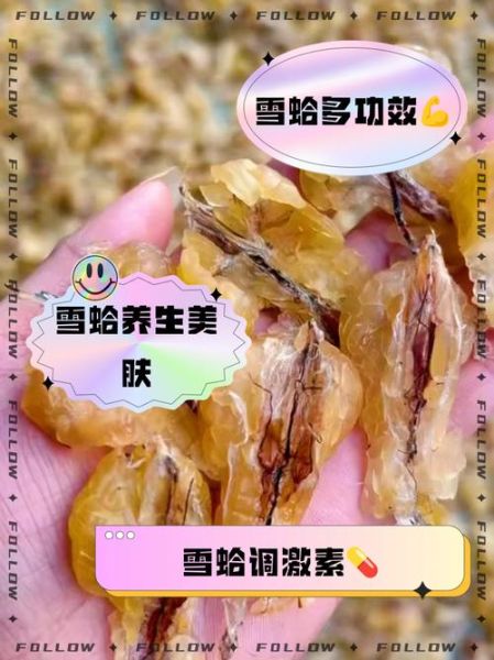 雪蛤的功效与作用_雪蛤多少钱一斤-第2张图片-山城妙识 雪蛤的功效与作用_雪蛤多少钱一斤-第2张图片-山城妙识