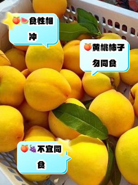 黄桃吃多了会怎样_黄桃为什么不能多吃-第3张图片-山城妙识 黄桃吃多了会怎样_黄桃为什么不能多吃-第3张图片-山城妙识