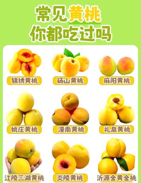 黄桃吃多了会怎样_黄桃为什么不能多吃-第1张图片-山城妙识 黄桃吃多了会怎样_黄桃为什么不能多吃-第1张图片-山城妙识