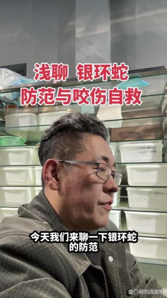 银环蛇咬伤后多久发作_银环蛇毒抗毒血清哪里买-第1张图片-山城妙识 银环蛇咬伤后多久发作_银环蛇毒抗毒血清哪里买-第1张图片-山城妙识