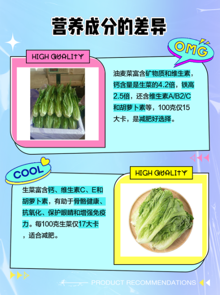 莴苣和生菜的区别_油麦菜是生菜吗-第2张图片-山城妙识 莴苣和生菜的区别_油麦菜是生菜吗-第2张图片-山城妙识