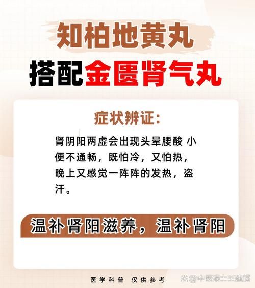 阴阳双补的最佳中成药有哪些_肾阴虚肾阳虚吃什么药-第2张图片-山城妙识 阴阳双补的最佳中成药有哪些_肾阴虚肾阳虚吃什么药-第2张图片-山城妙识