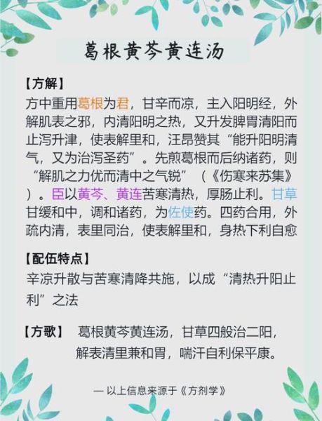 葛根芩连汤的功效与作用_葛根芩连汤适合什么人-第1张图片-山城妙识 葛根芩连汤的功效与作用_葛根芩连汤适合什么人-第1张图片-山城妙识