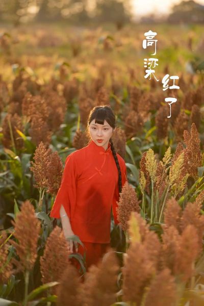 高粱红了演员表_高粱红了主要演员是谁-第1张图片-山城妙识