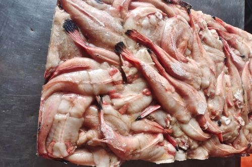 鮟鱇鱼舞是什么_鮟鱇鱼舞怎么跳-第1张图片-山城妙识 鮟鱇鱼舞是什么_鮟鱇鱼舞怎么跳-第1张图片-山城妙识