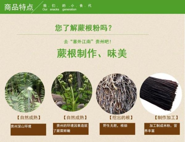 蕨根粉丝的功效与危害_蕨根粉丝吃多了有什么副作用-第2张图片-山城妙识