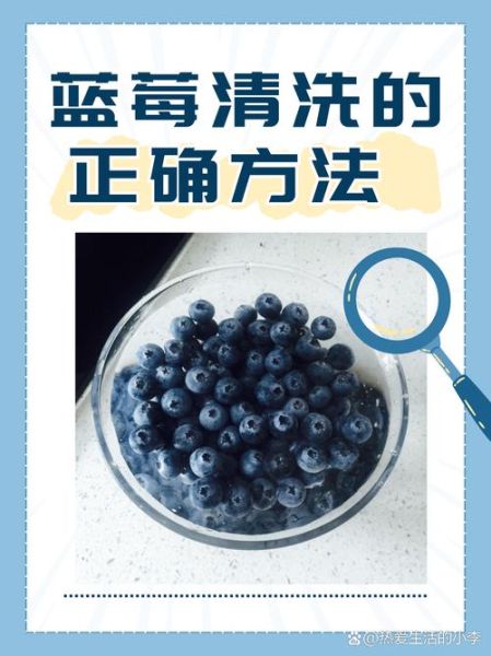 蓝莓怎么洗干净_蓝莓清洗的正确方法-第2张图片-山城妙识 蓝莓怎么洗干净_蓝莓清洗的正确方法-第2张图片-山城妙识