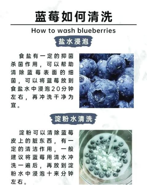 蓝莓怎么洗干净_蓝莓清洗的正确方法-第1张图片-山城妙识 蓝莓怎么洗干净_蓝莓清洗的正确方法-第1张图片-山城妙识