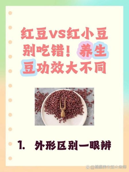 红豆和赤豆的功效区别_哪个更适合祛湿-第2张图片-山城妙识 红豆和赤豆的功效区别_哪个更适合祛湿-第2张图片-山城妙识
