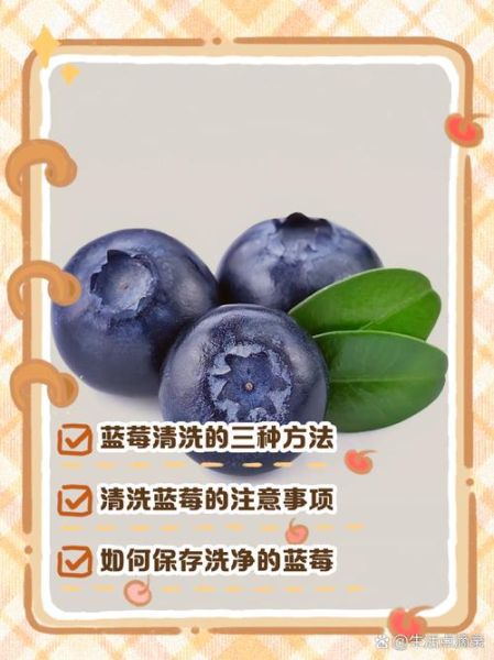 蓝莓怎么洗干净_蓝莓清洗的正确方法-第3张图片-山城妙识 蓝莓怎么洗干净_蓝莓清洗的正确方法-第3张图片-山城妙识