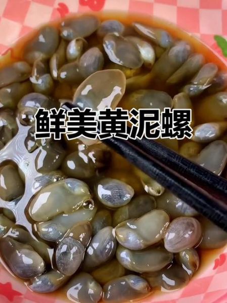 黄泥螺怎么吃图解_黄泥螺怎么清洗-第1张图片-山城妙识 黄泥螺怎么吃图解_黄泥螺怎么清洗-第1张图片-山城妙识