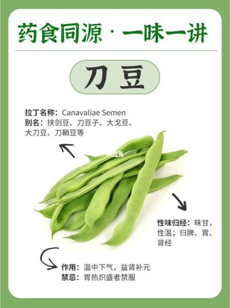 刀豆图片功效与作用_刀豆怎么吃最营养-第1张图片-山城妙识