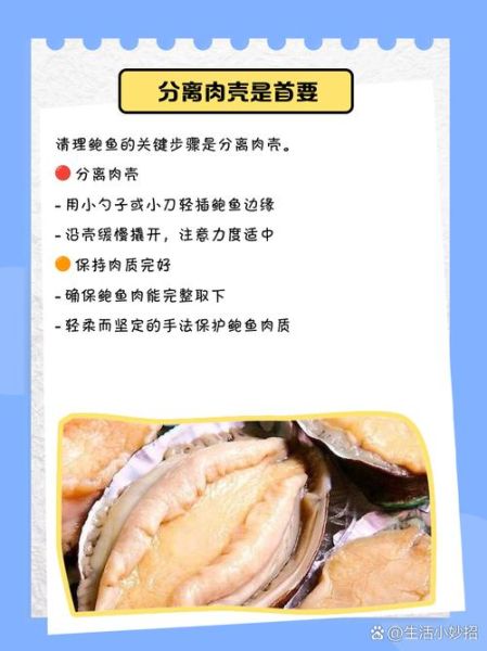 鲍鱼怎么去内脏图解_鲍鱼内脏清理步骤-第2张图片-山城妙识 鲍鱼怎么去内脏图解_鲍鱼内脏清理步骤-第2张图片-山城妙识