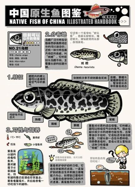 鯮鱼灭绝了吗_鯮鱼灭绝原因是什么-第1张图片-山城妙识 鯮鱼灭绝了吗_鯮鱼灭绝原因是什么-第1张图片-山城妙识