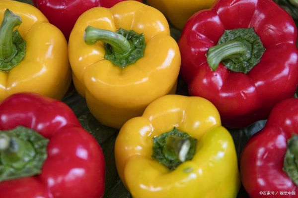 彩椒辣吗_彩椒和辣椒区别-第1张图片-山城妙识 彩椒辣吗_彩椒和辣椒区别-第1张图片-山城妙识