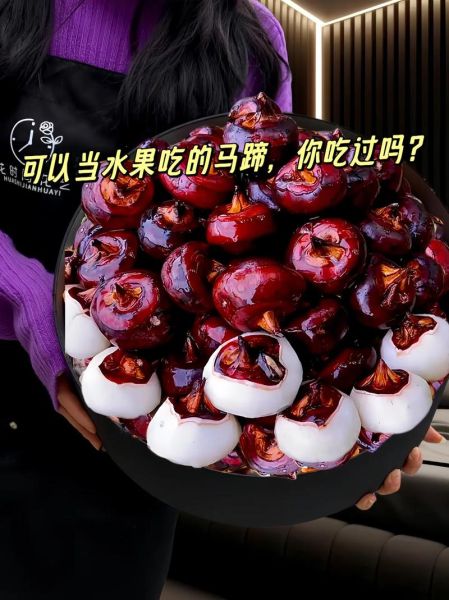 马蹄水果图片_马蹄水果怎么吃-第2张图片-山城妙识 马蹄水果图片_马蹄水果怎么吃-第2张图片-山城妙识