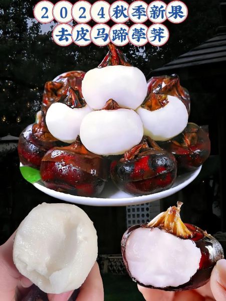 马蹄水果图片_马蹄水果怎么吃-第1张图片-山城妙识 马蹄水果图片_马蹄水果怎么吃-第1张图片-山城妙识