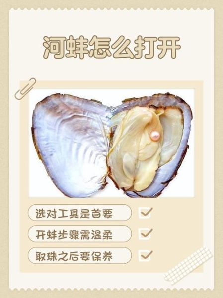 河蚌中间的一大坨肉能吃吗_怎么去除内脏图解-第3张图片-山城妙识 河蚌中间的一大坨肉能吃吗_怎么去除内脏图解-第3张图片-山城妙识