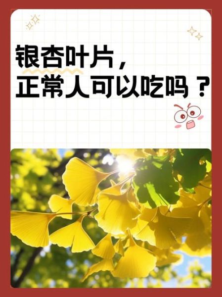 银杏叶片的功效与作用_银杏叶片能长期吃吗-第2张图片-山城妙识 银杏叶片的功效与作用_银杏叶片能长期吃吗-第2张图片-山城妙识