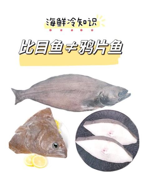 鸦片鱼怎么处理_鸦片鱼去腥方法-第2张图片-山城妙识 鸦片鱼怎么处理_鸦片鱼去腥方法-第2张图片-山城妙识