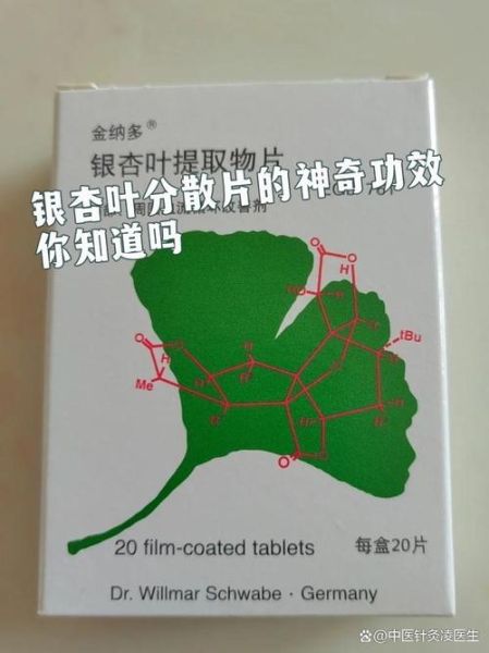 银杏叶片的功效与作用_银杏叶片能长期吃吗-第3张图片-山城妙识 银杏叶片的功效与作用_银杏叶片能长期吃吗-第3张图片-山城妙识